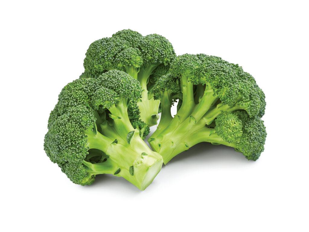 Brócolis – Ranxo
